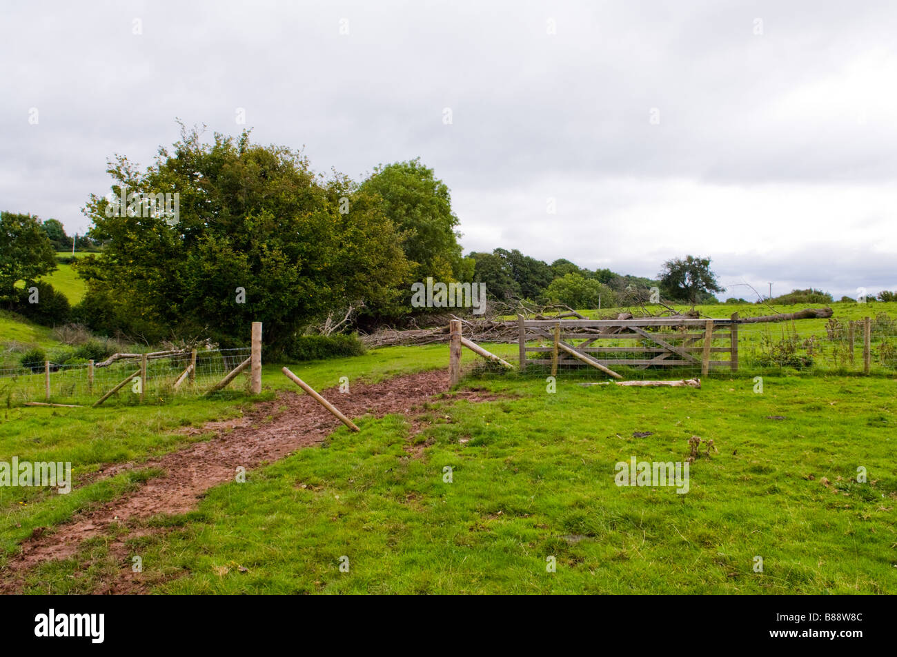 A beautiful English field and countryside scene Stock Photo - Alamy
