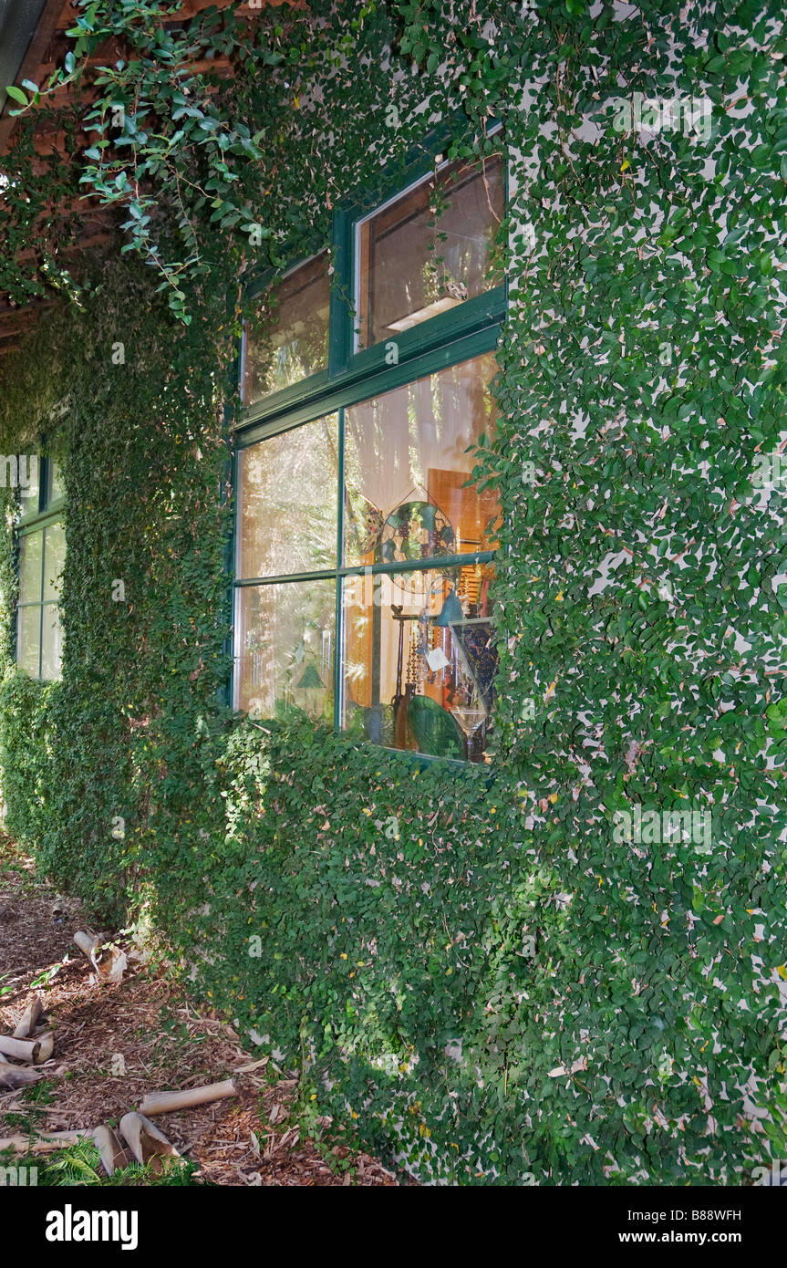 Vine covered house hi-res stock photography and images - Alamy