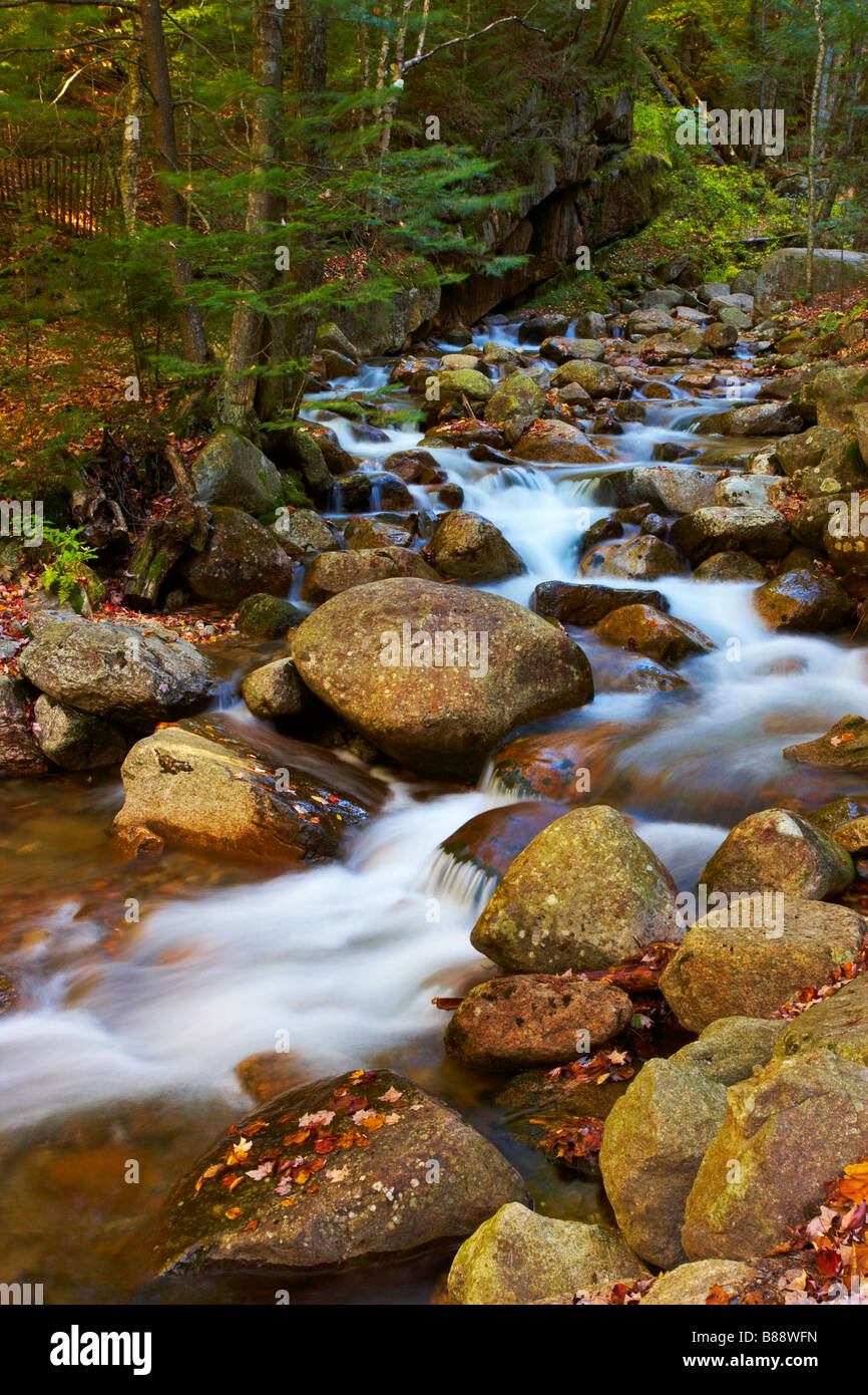 A scene form the Flume Gorge in Franconia Notch State park, New ...