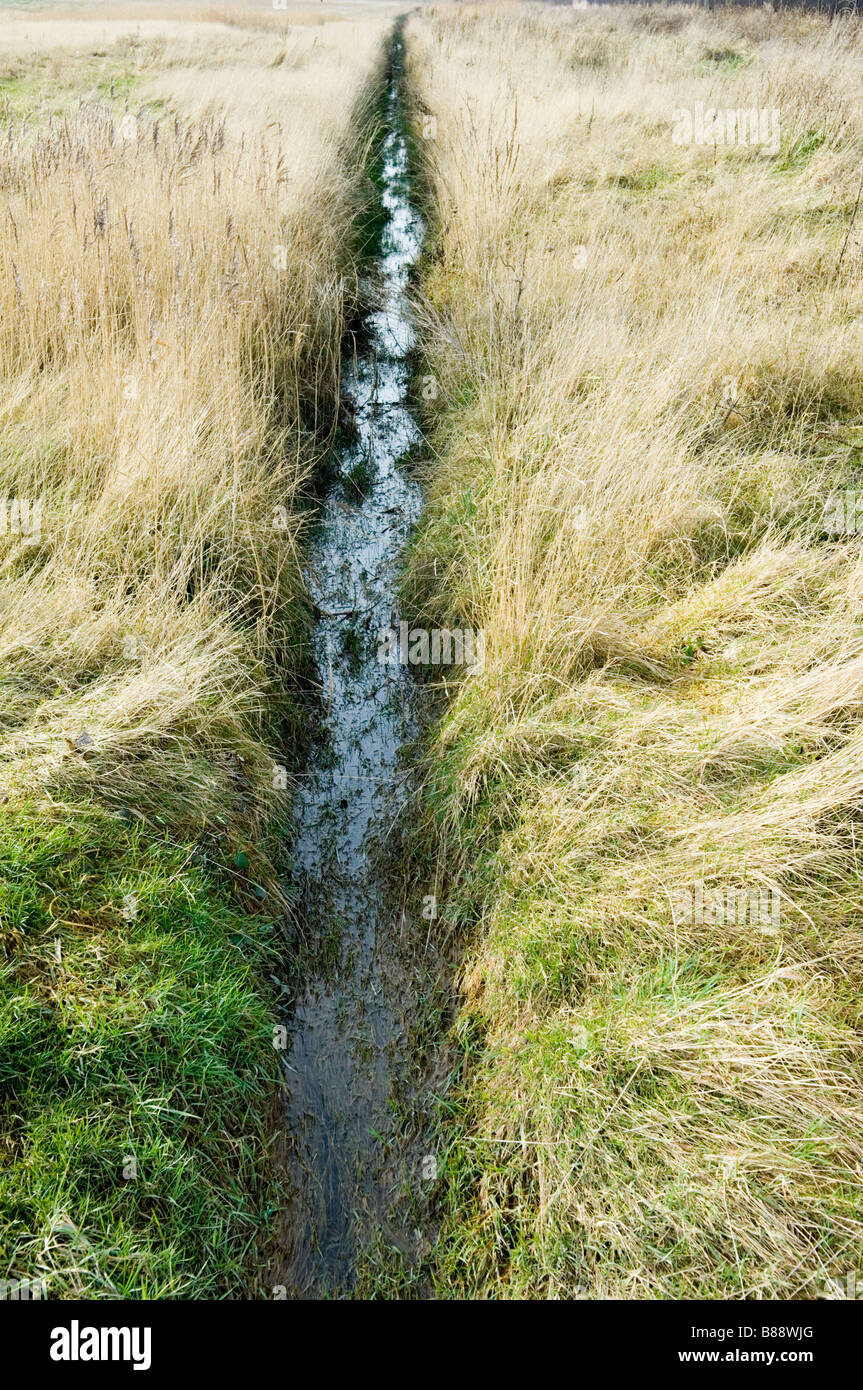 drainage ditch in field Stock Photo - Alamy
