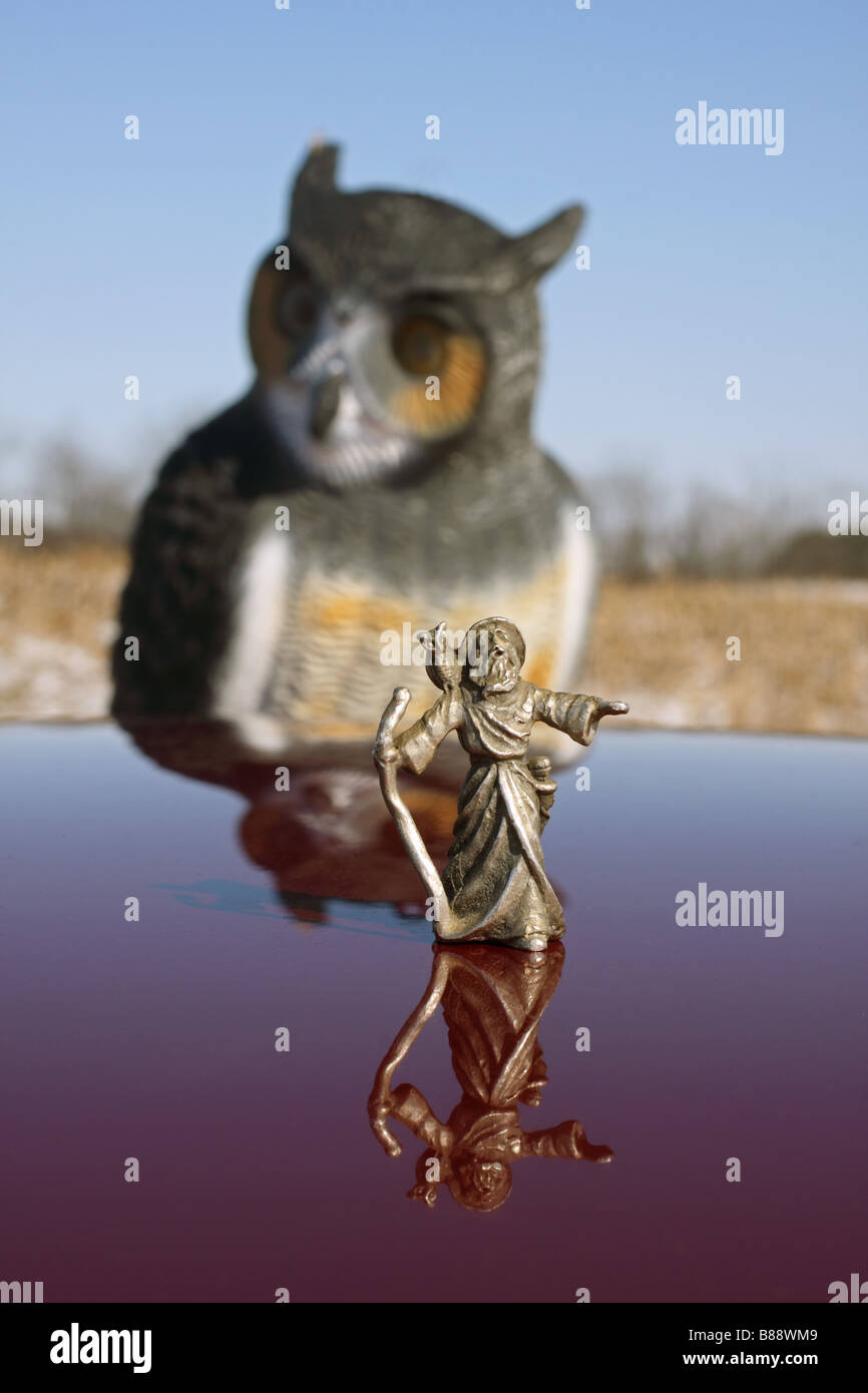 Wizard owl hi-res stock photography and images - Alamy