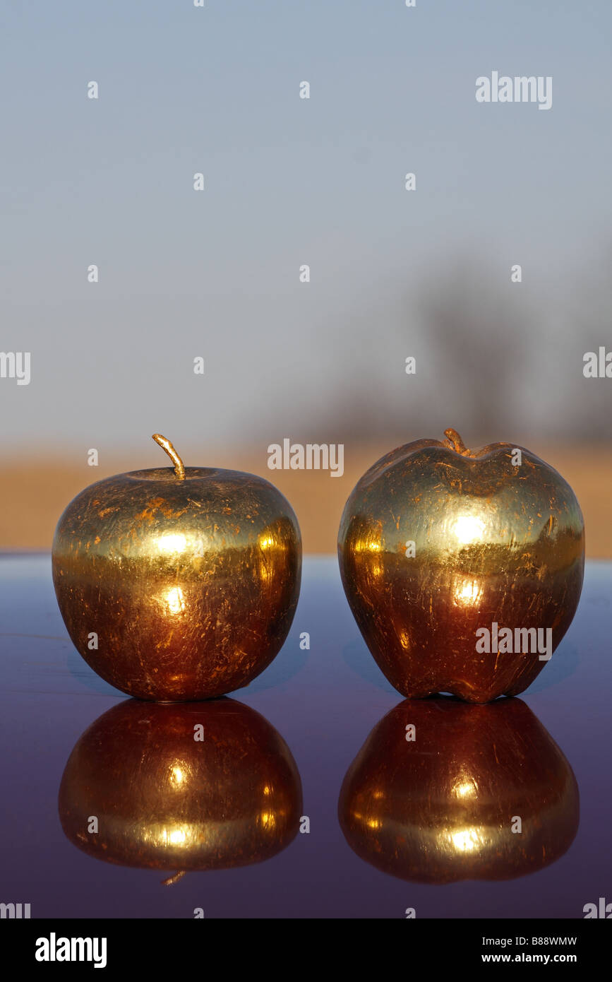 two golden apples reflected in the sky Stock Photo - Alamy