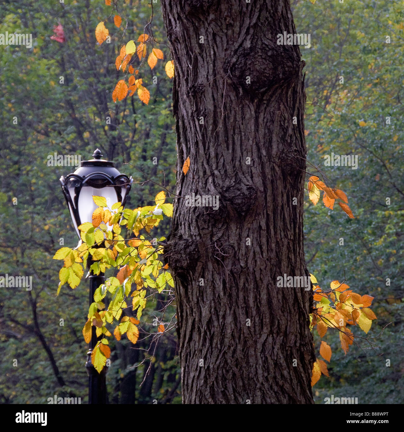 Splendor lighting hi-res stock photography and images - Alamy