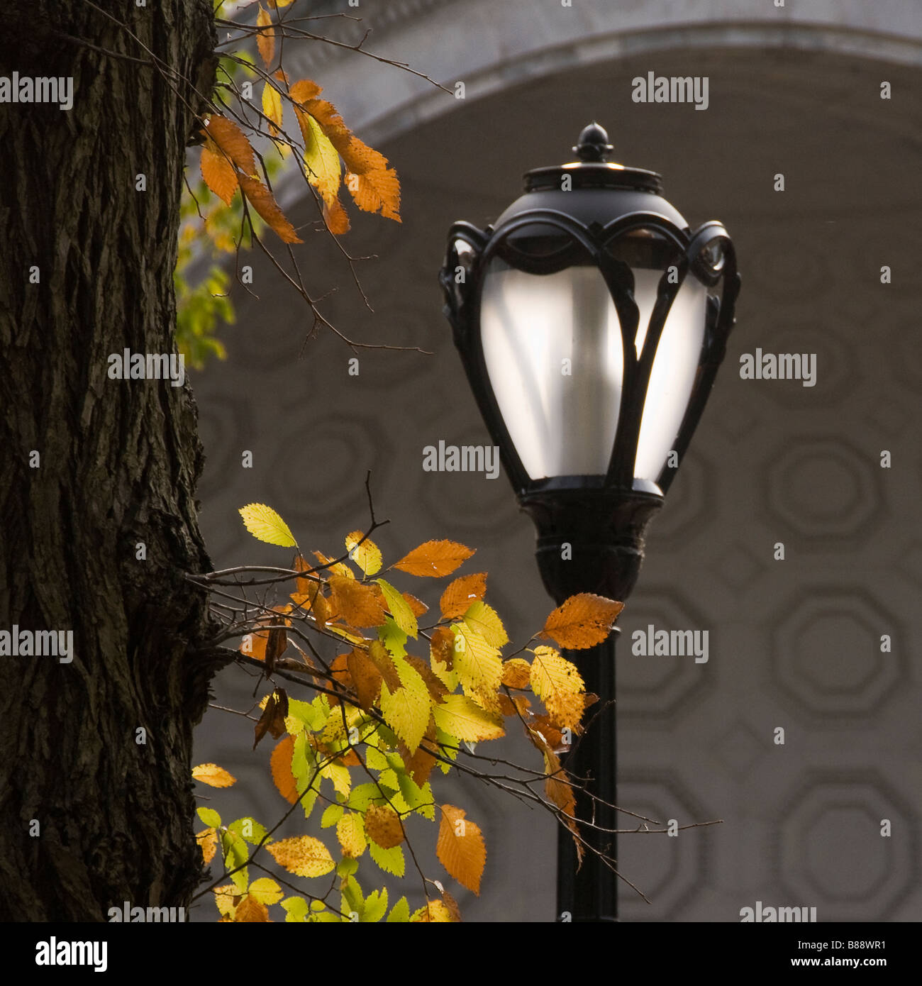 Autumn park splendor hi-res stock photography and images - Alamy