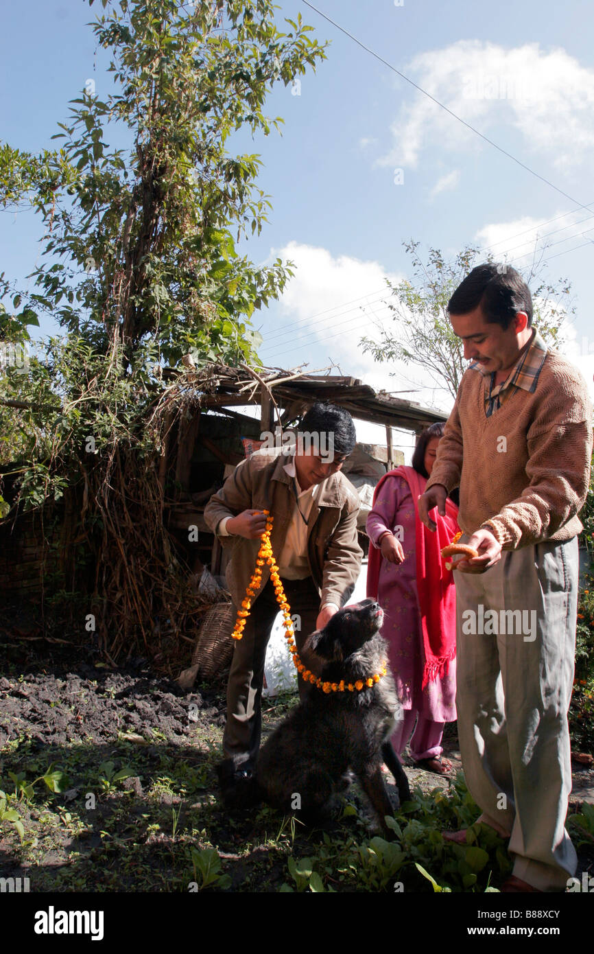 Puka dog hi-res stock photography and images - Alamy