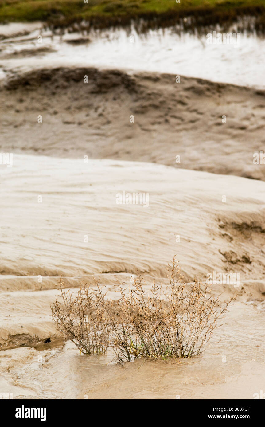 River sandbanks hi-res stock photography and images - Alamy