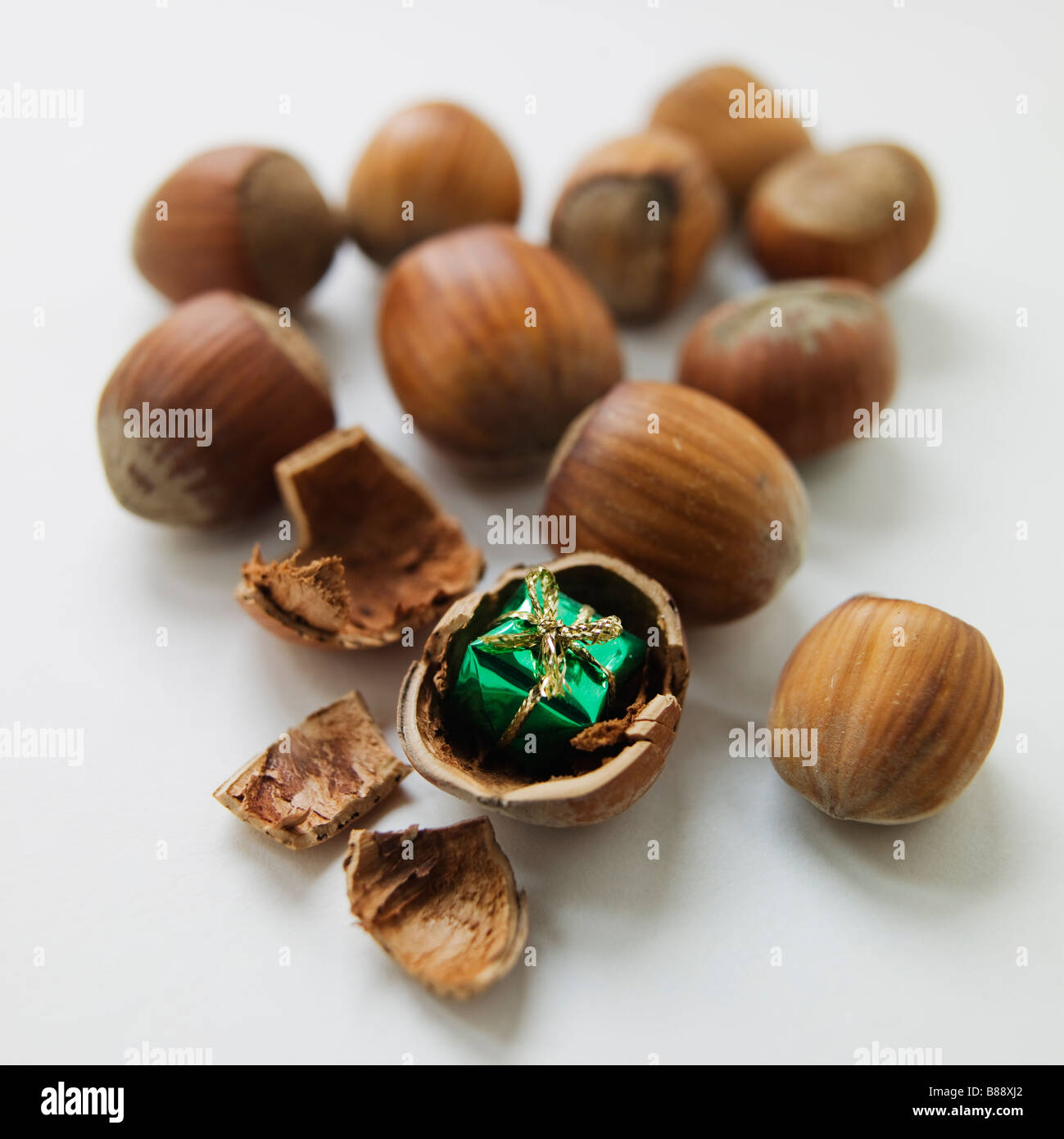 open cobnut revealing a green festive present Stock Photo - Alamy