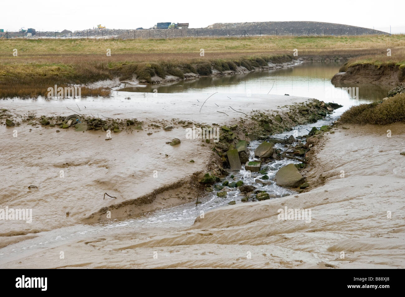 River channel and mudflats Stock Photo - Alamy