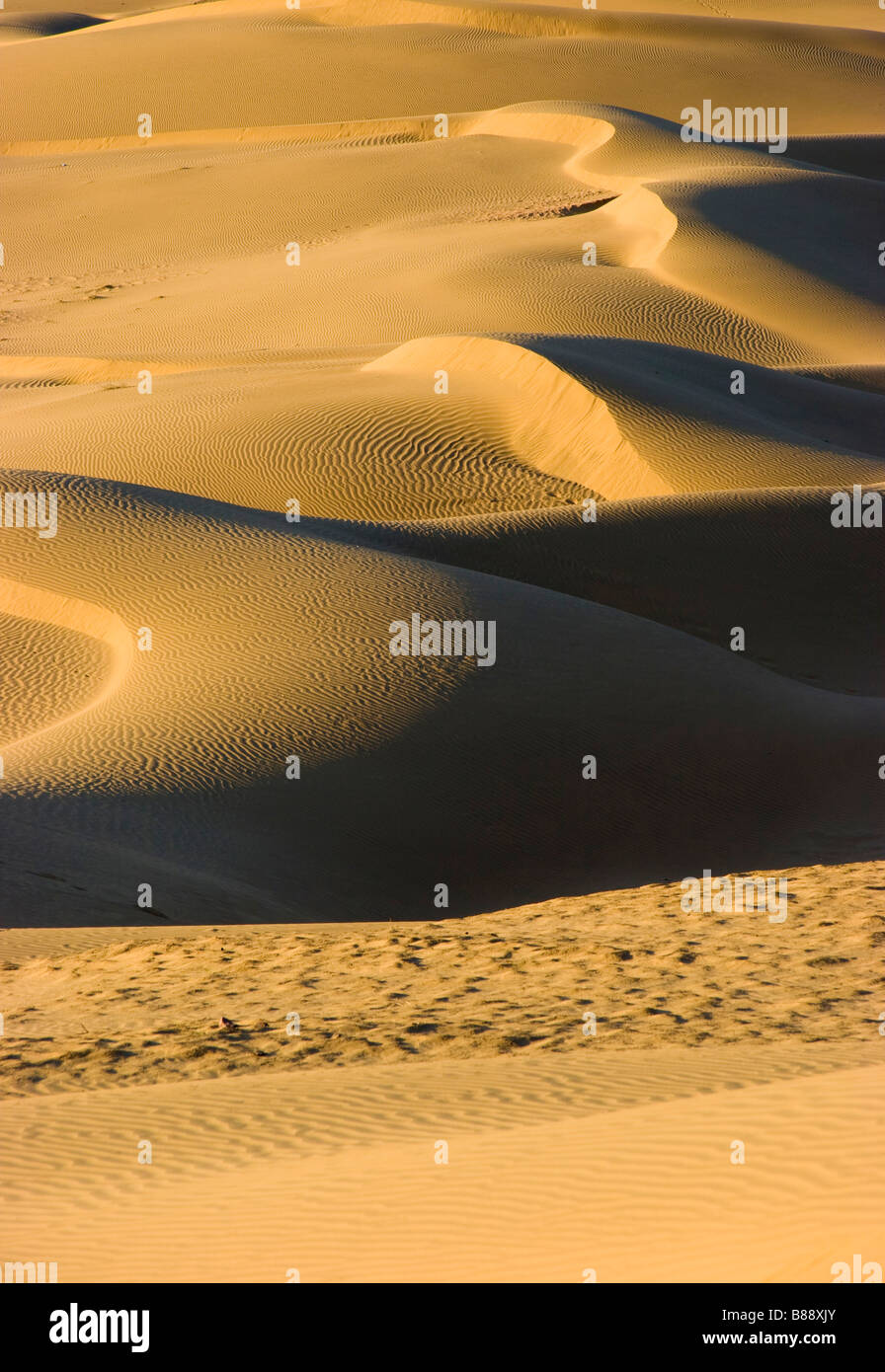 Khuri desert Rajasthan India Stock Photo - Alamy