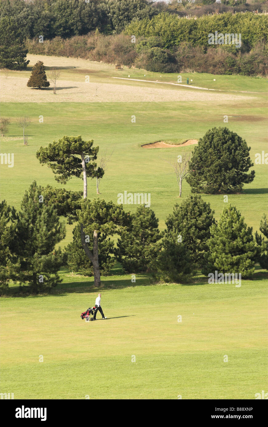 A golfer pulling a trolley - Hillbarn Golf Course, Worthing, West ...