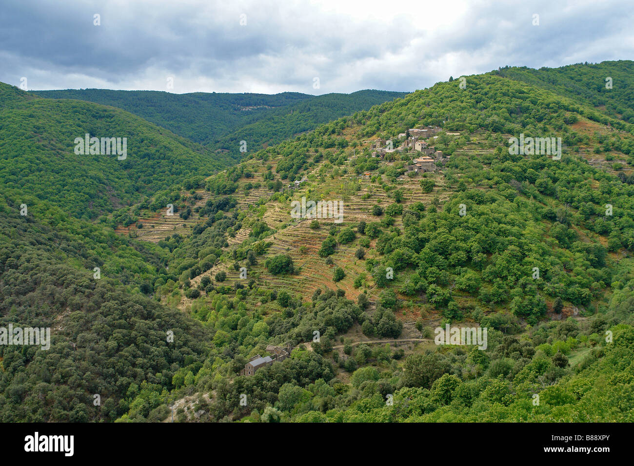 Les vans hi-res stock photography and images - Alamy