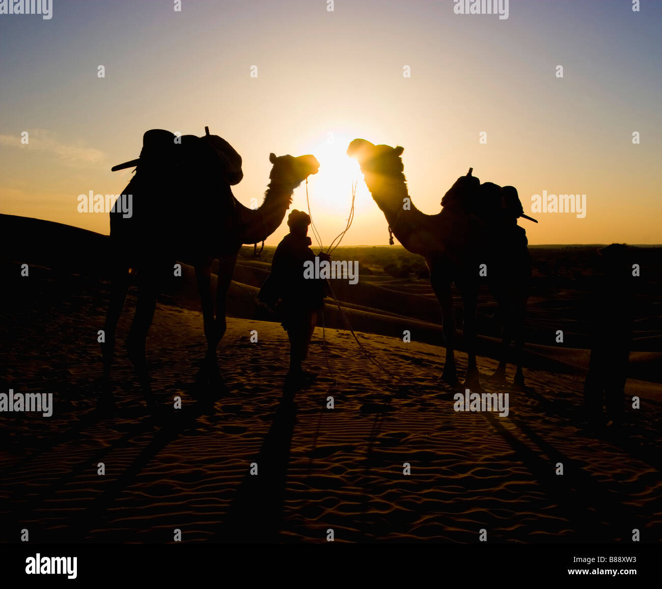 Camel handler hi-res stock photography and images - Alamy