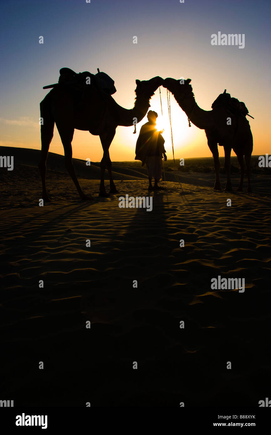 Camel handler hi-res stock photography and images - Alamy