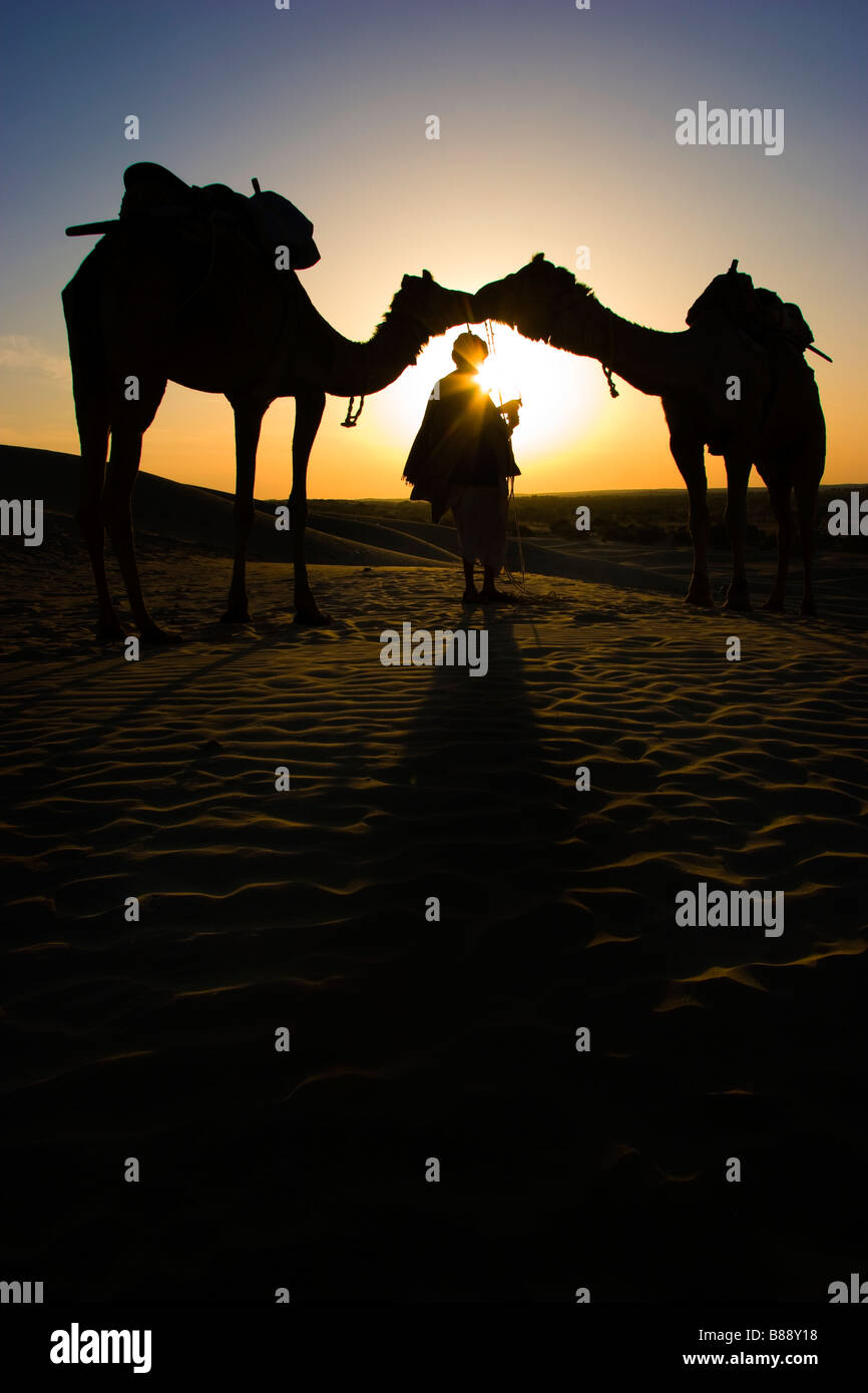 Camel handler hi-res stock photography and images - Alamy