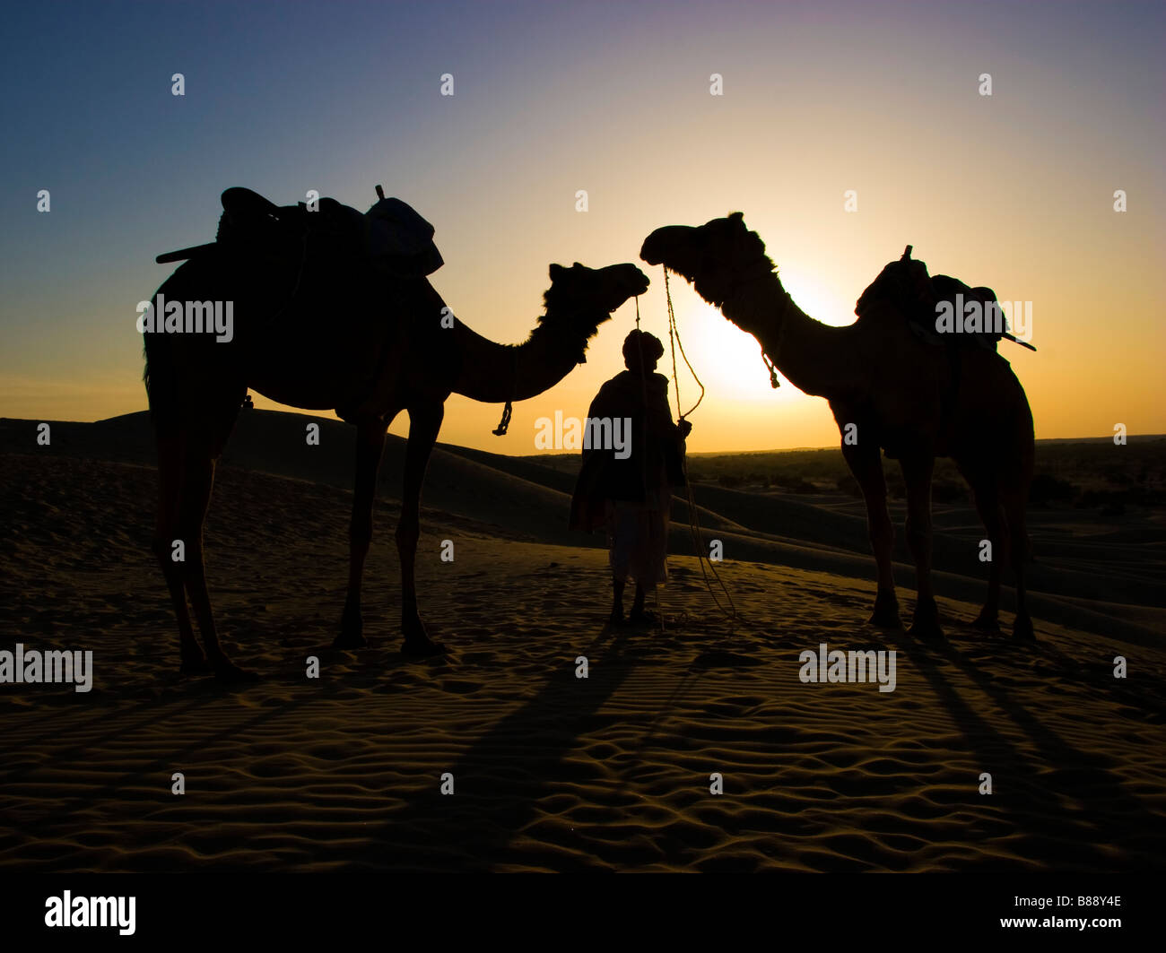 Indian man camel handler owner Khuri desert Rajasthan India Stock Photo ...