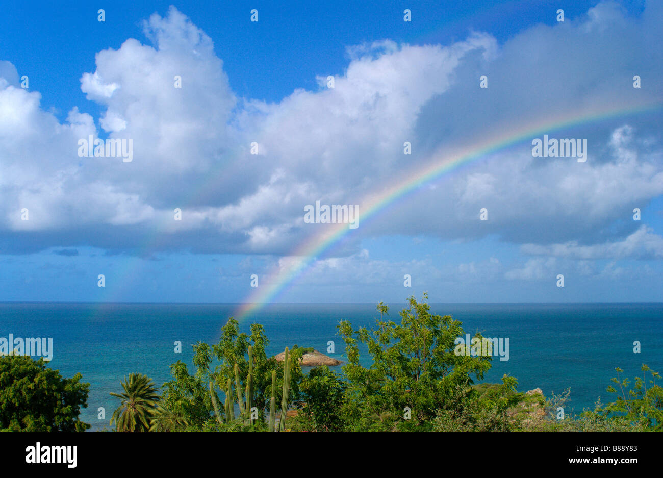 Big island rainbow tree hi-res stock photography and images - Alamy