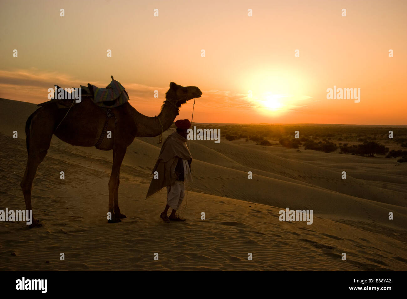 Camel handler hi-res stock photography and images - Alamy