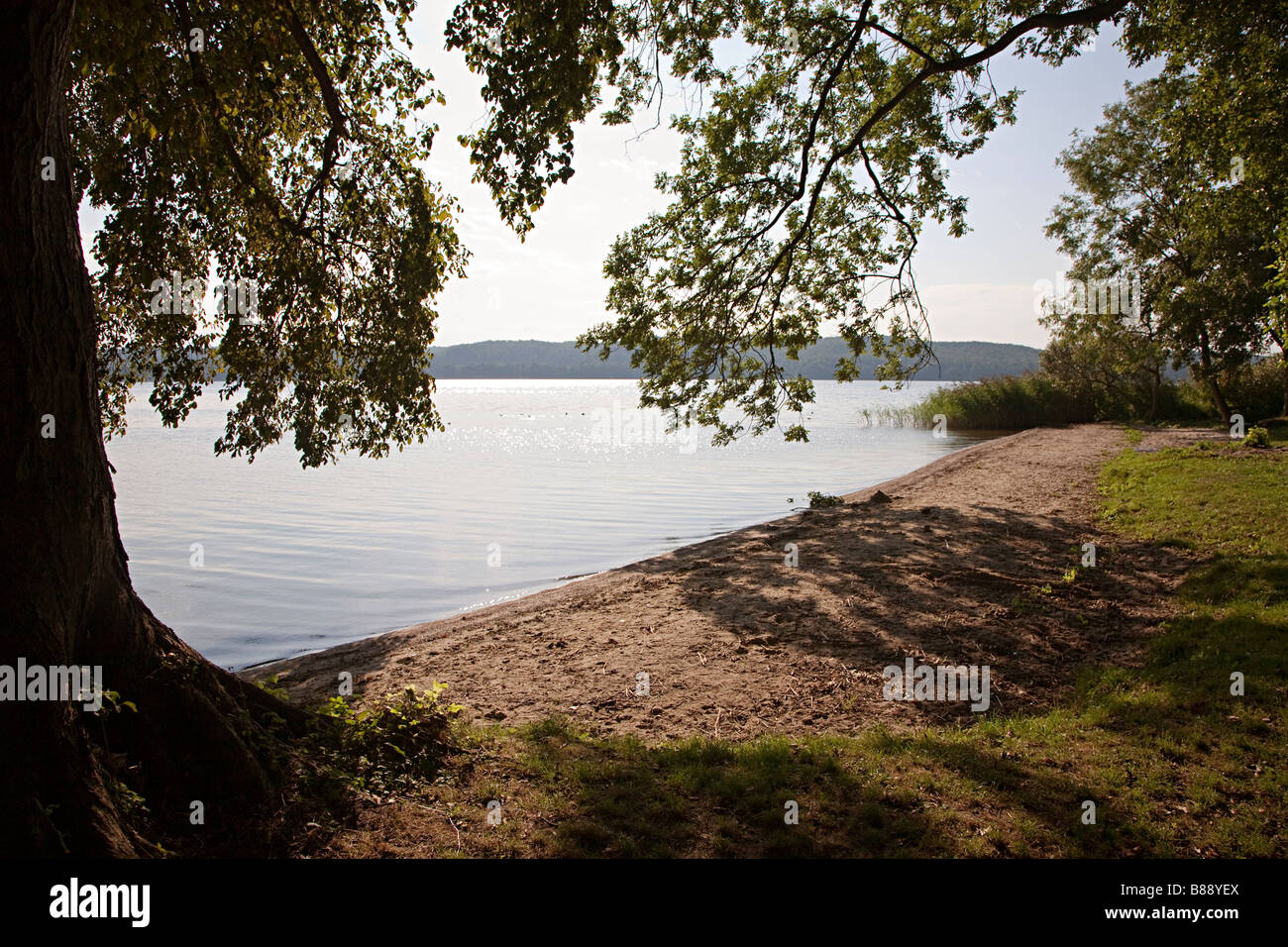 Trees at edge of lake Tollensesee Germany Stock Photo - Alamy