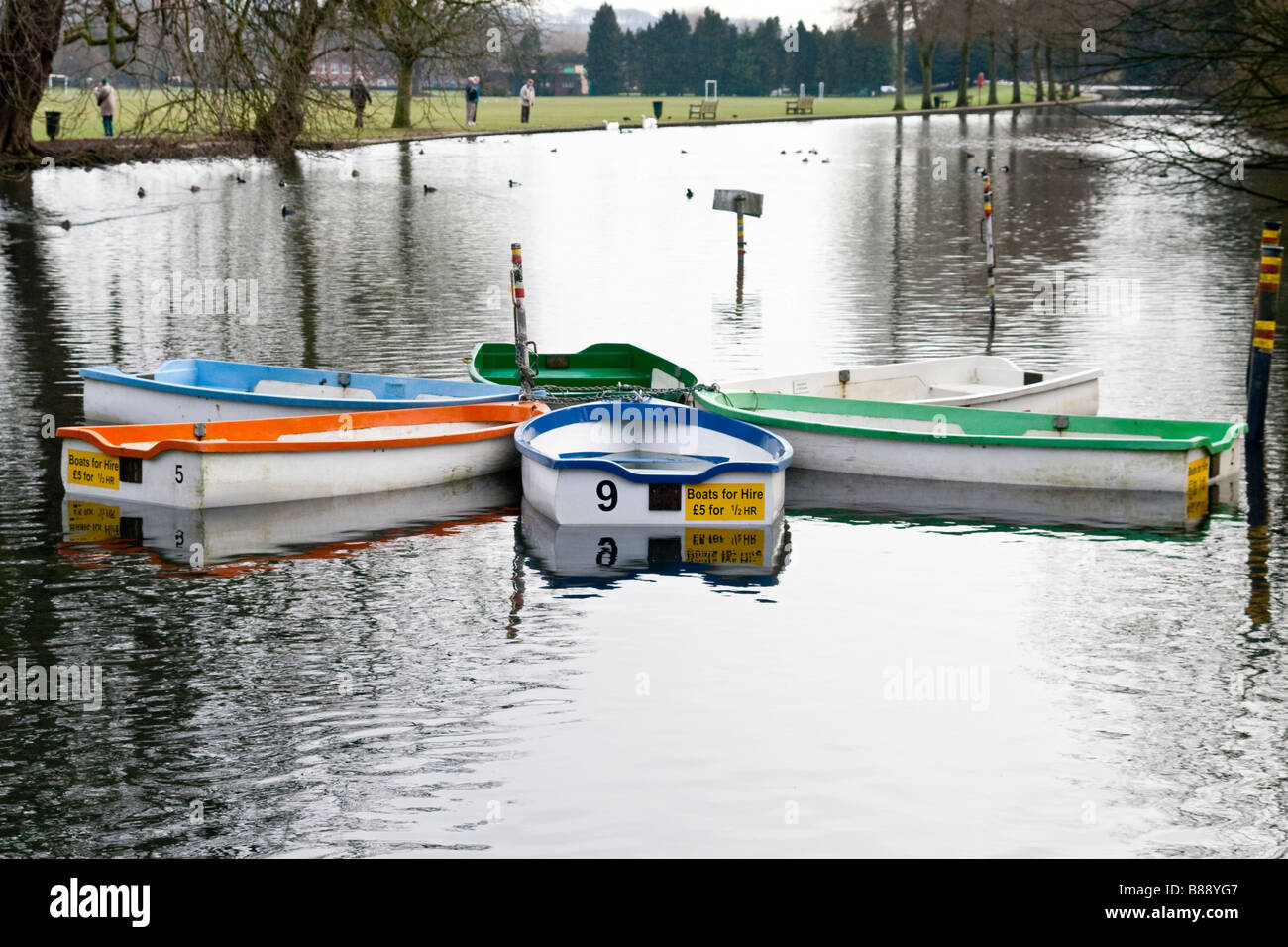 Rowing up river hi-res stock photography and images - Alamy