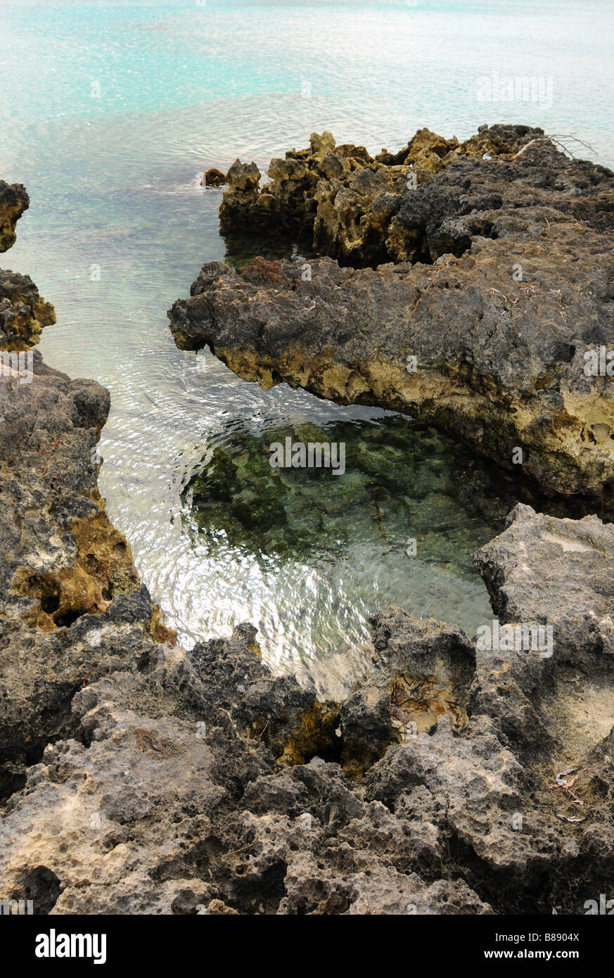 Tropical ocean underwater rocks hi-res stock photography and images - Alamy