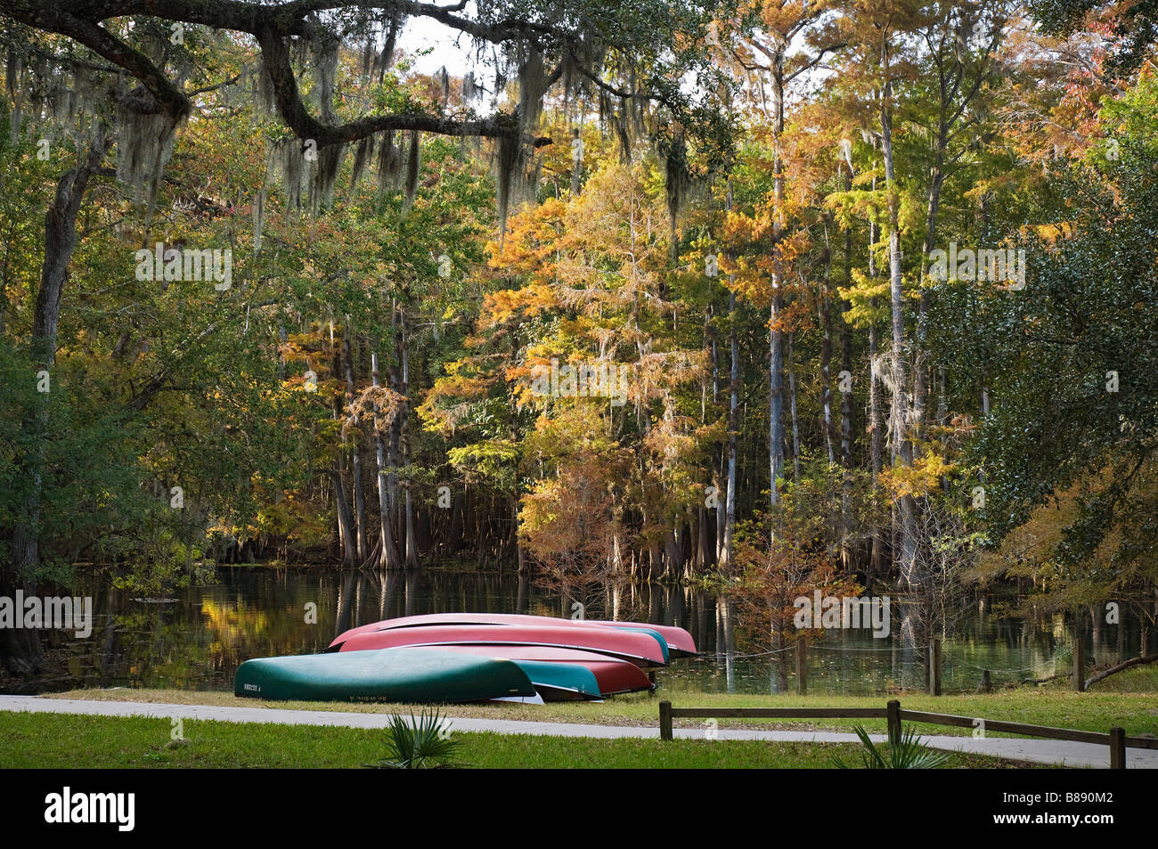 fall colors at Manatee Springs State Park along the Suwannee River ...