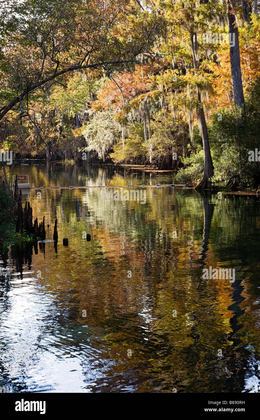 fall colors at Manatee Springs State Park along the Suwannee River ...