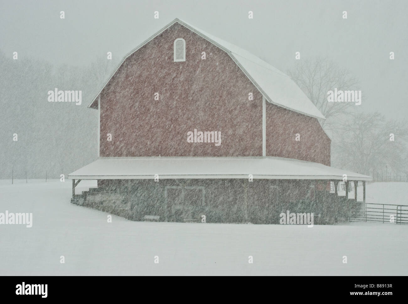 A barn in a white-out blizzard Stock Photo - Alamy