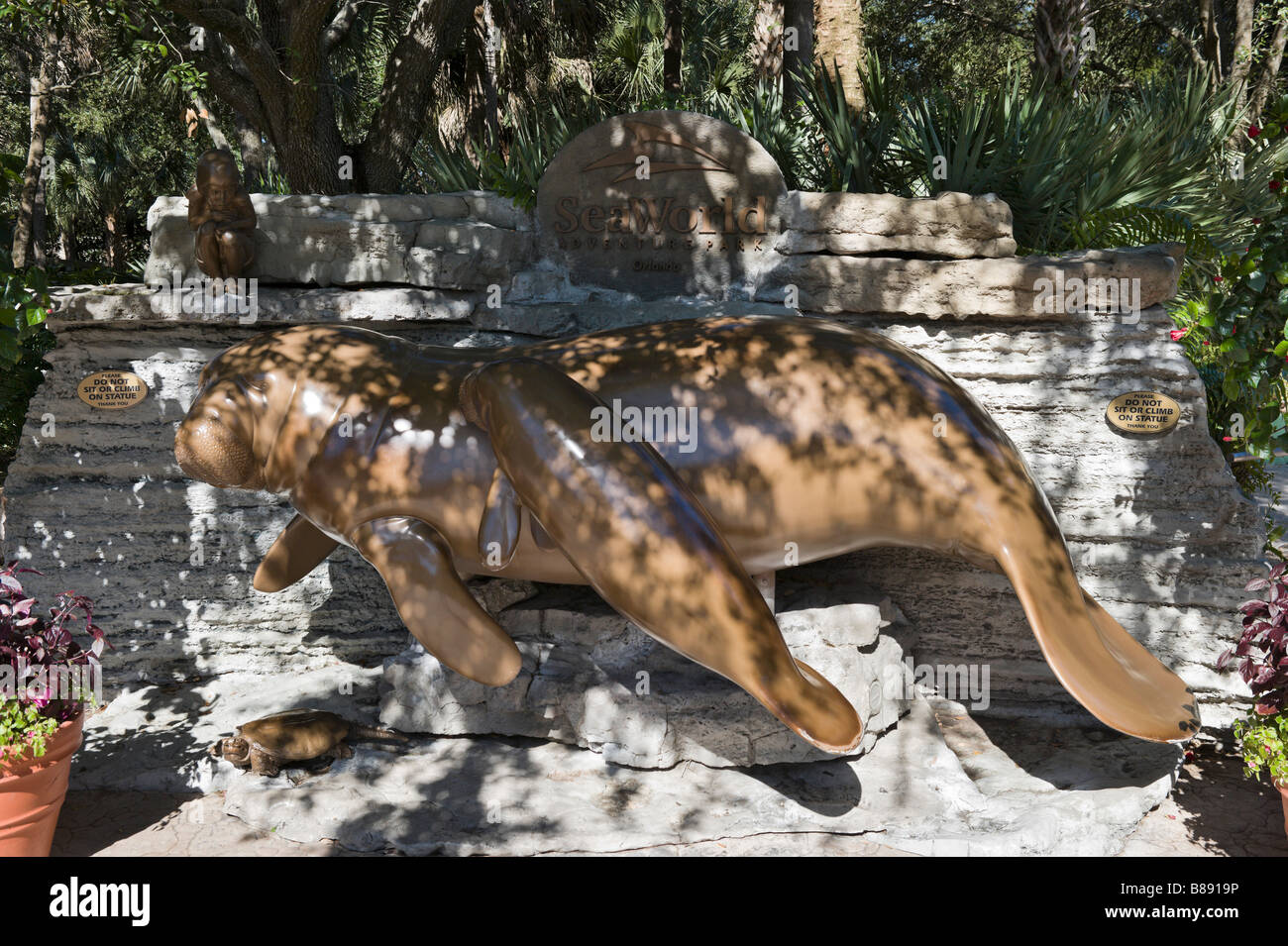 Manatee tour hi-res stock photography and images - Alamy