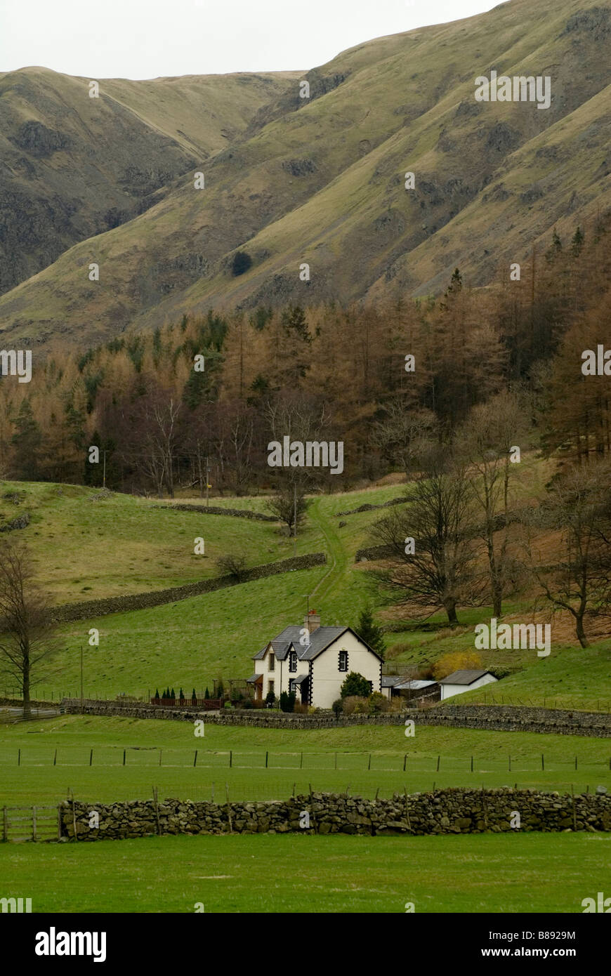 Cottage and countryside, Cumbria , England Stock Photo - Alamy