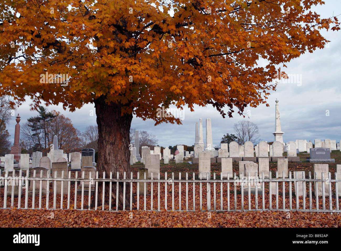 Cemetary hi-res stock photography and images - Alamy