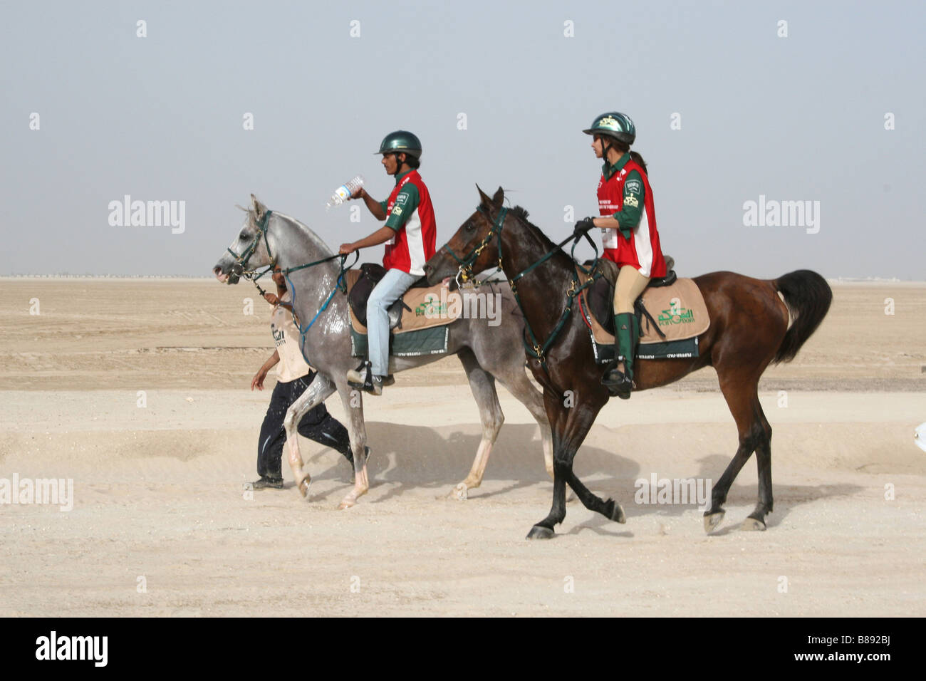 Endurance horse hi-res stock photography and images - Alamy