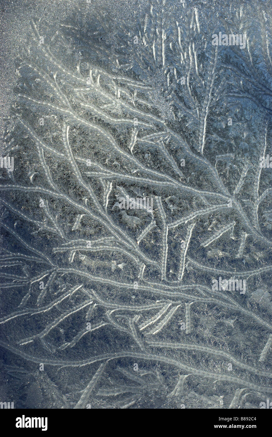 Frost design hi-res stock photography and images - Alamy