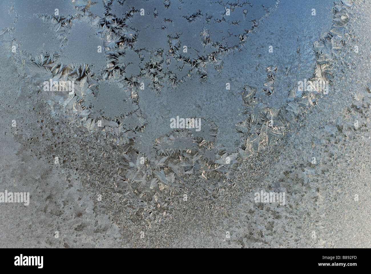 Frost design hi-res stock photography and images - Alamy
