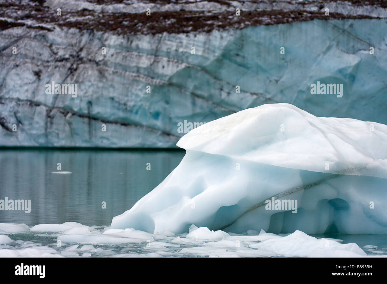 An iceberg floats in front of a glacier on a still lake in Jasper ...