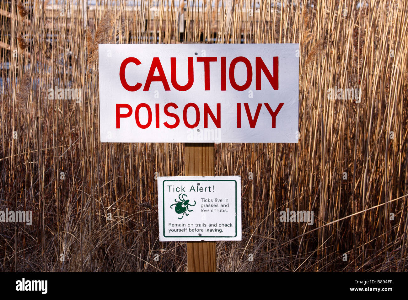 signs warning against plant and insect hazards in grassy areas, Long ...