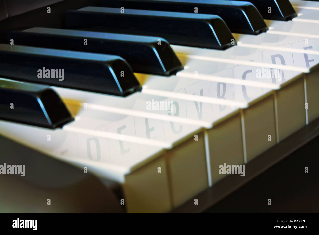 black and white piano keys with beginner notes reflected on the keys ...