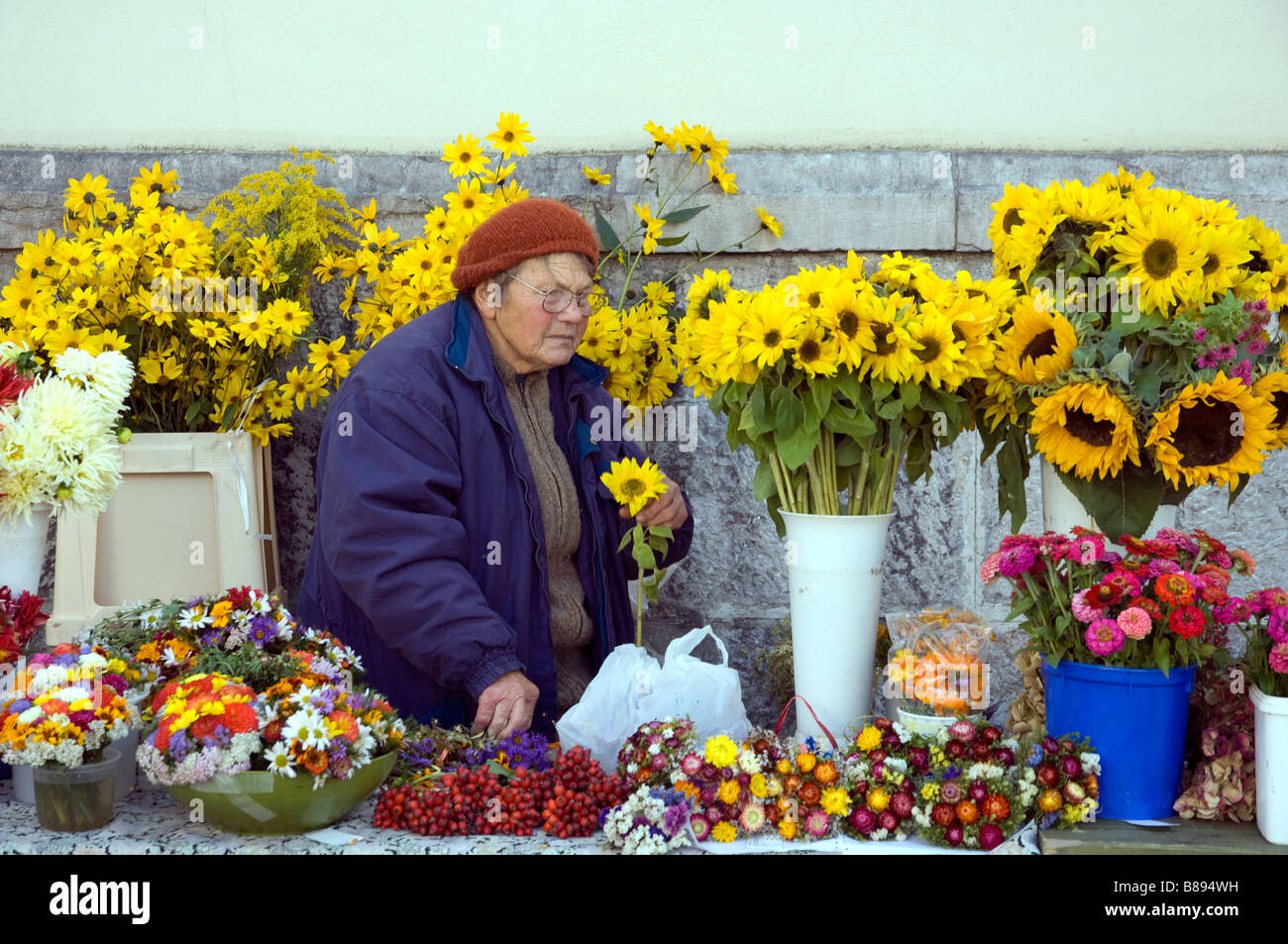 Slovenia kiosk hi-res stock photography and images - Alamy