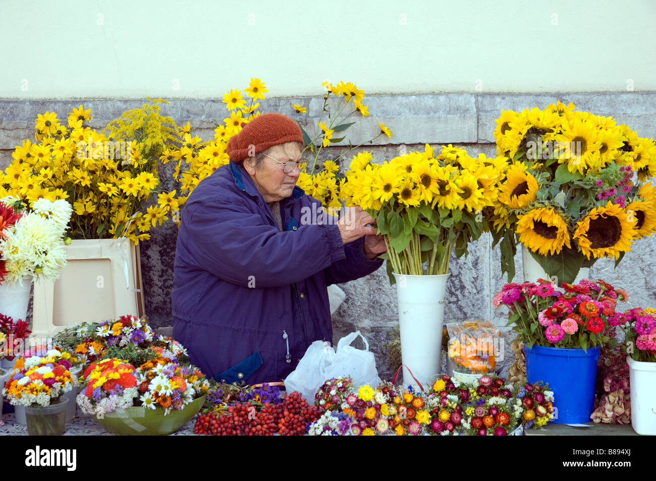 A lady selling flowers at an outdoor Ljubljana flower market Stock ...