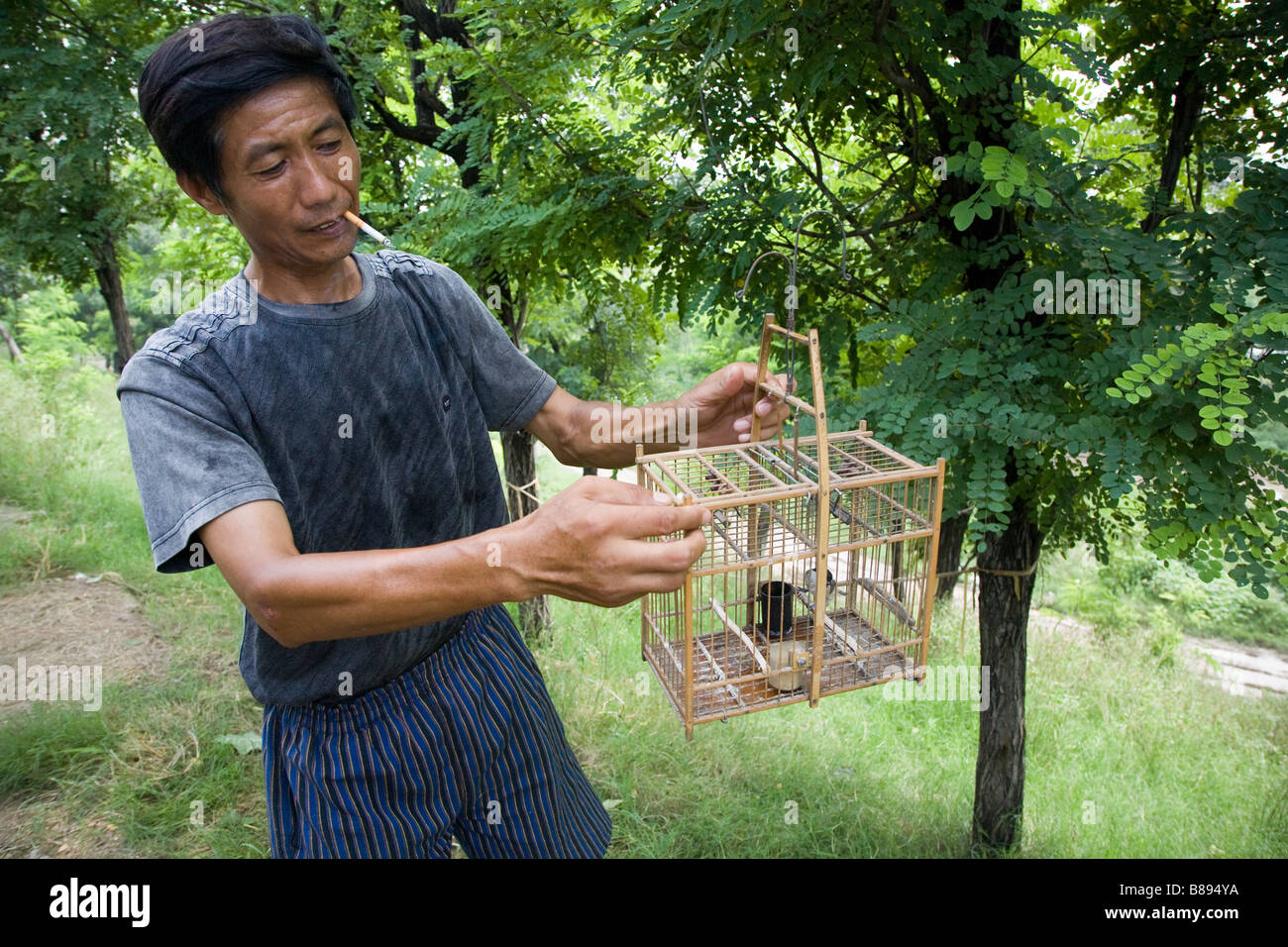 Chinese bird lover takes his canary to the outskirts of Kaifeng to ...