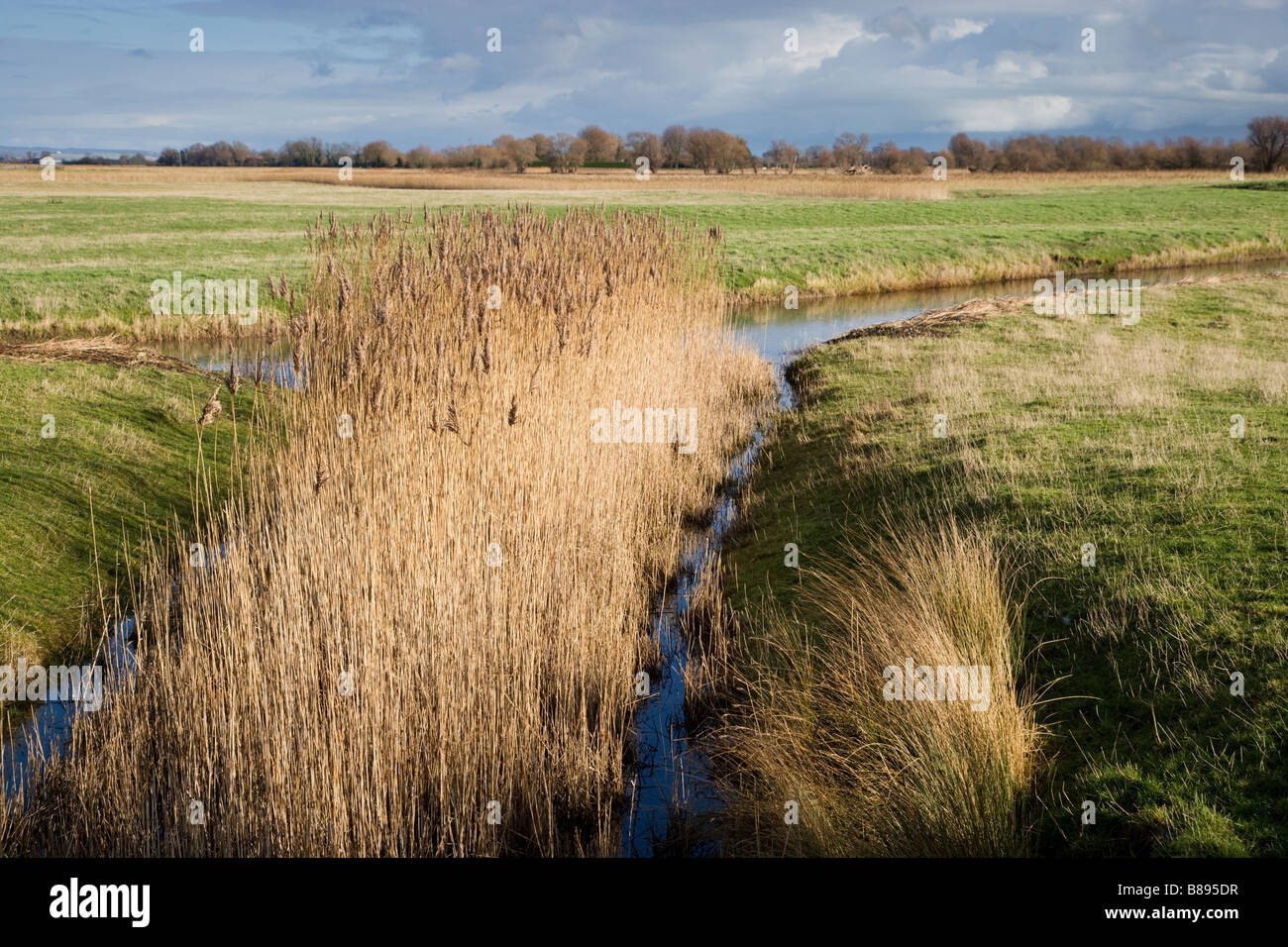 Distant marsh view hi-res stock photography and images - Alamy