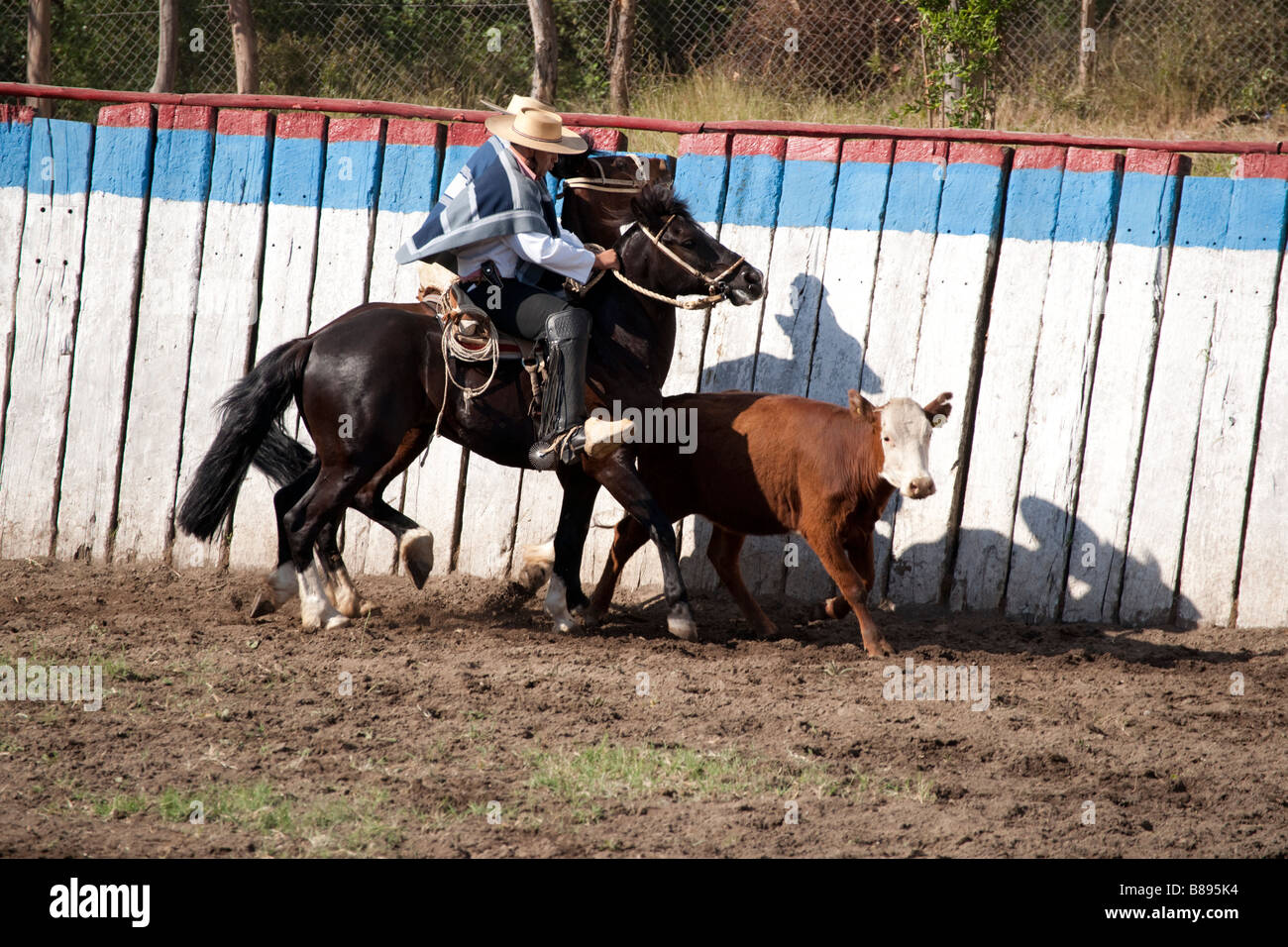Rodeo and horse hi-res stock photography and images - Alamy