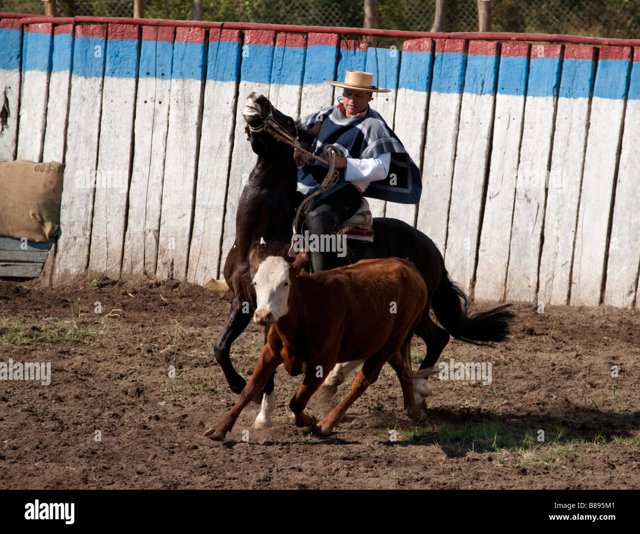 Chilean Rodeo in Los Cerrillos, Chile Stock Photo: 22329665 - Alamy