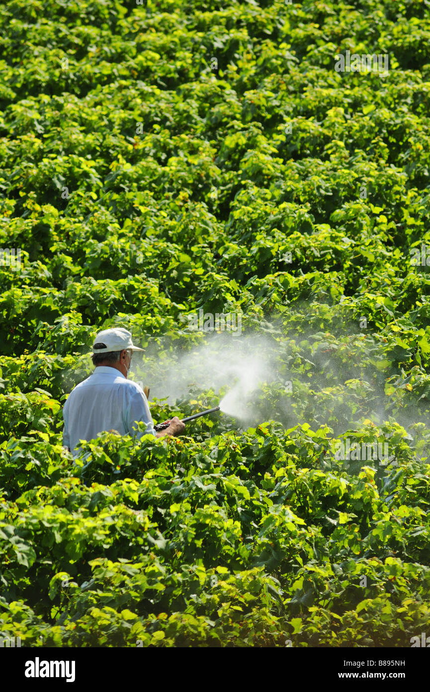 Pesticide insecticide poison spraying hi-res stock photography and ...