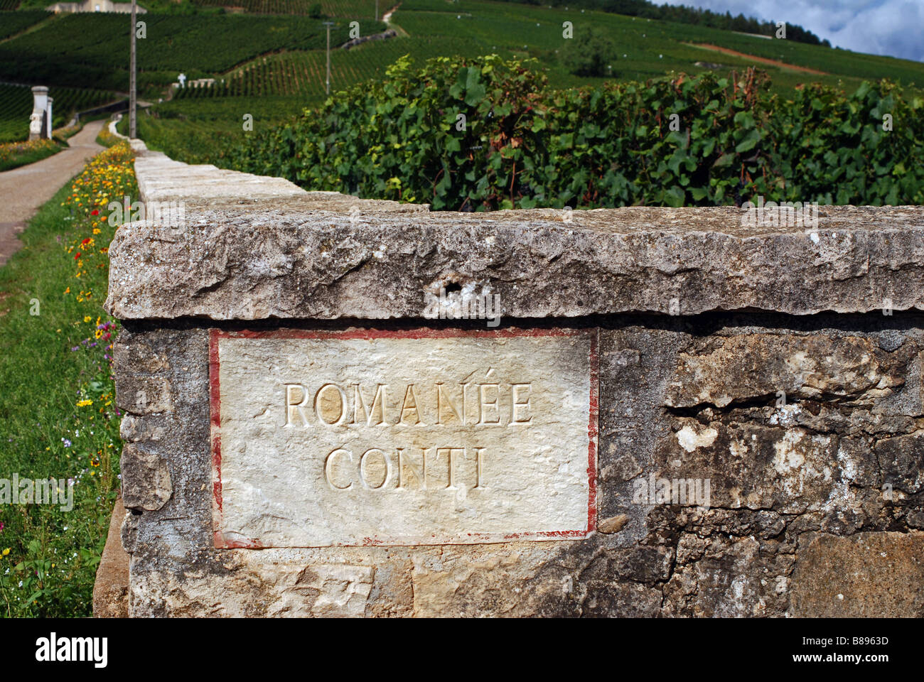 Romanee Conti vineyard, Vosne Romanee, Cote de Nuits, Burgundy, France ...