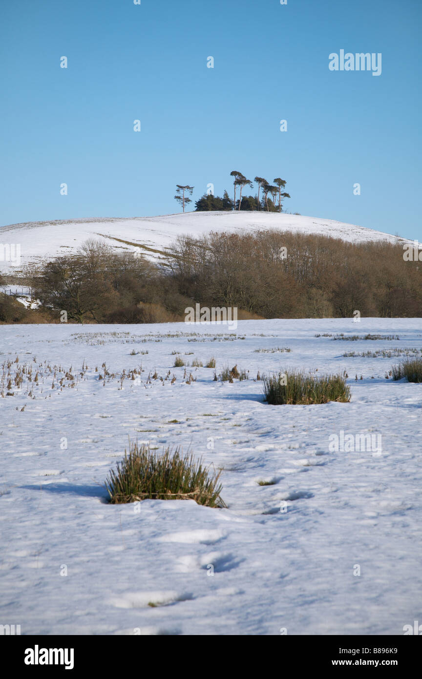 lady hill wensleydale covered in snow in winter in the north yorkshire ...