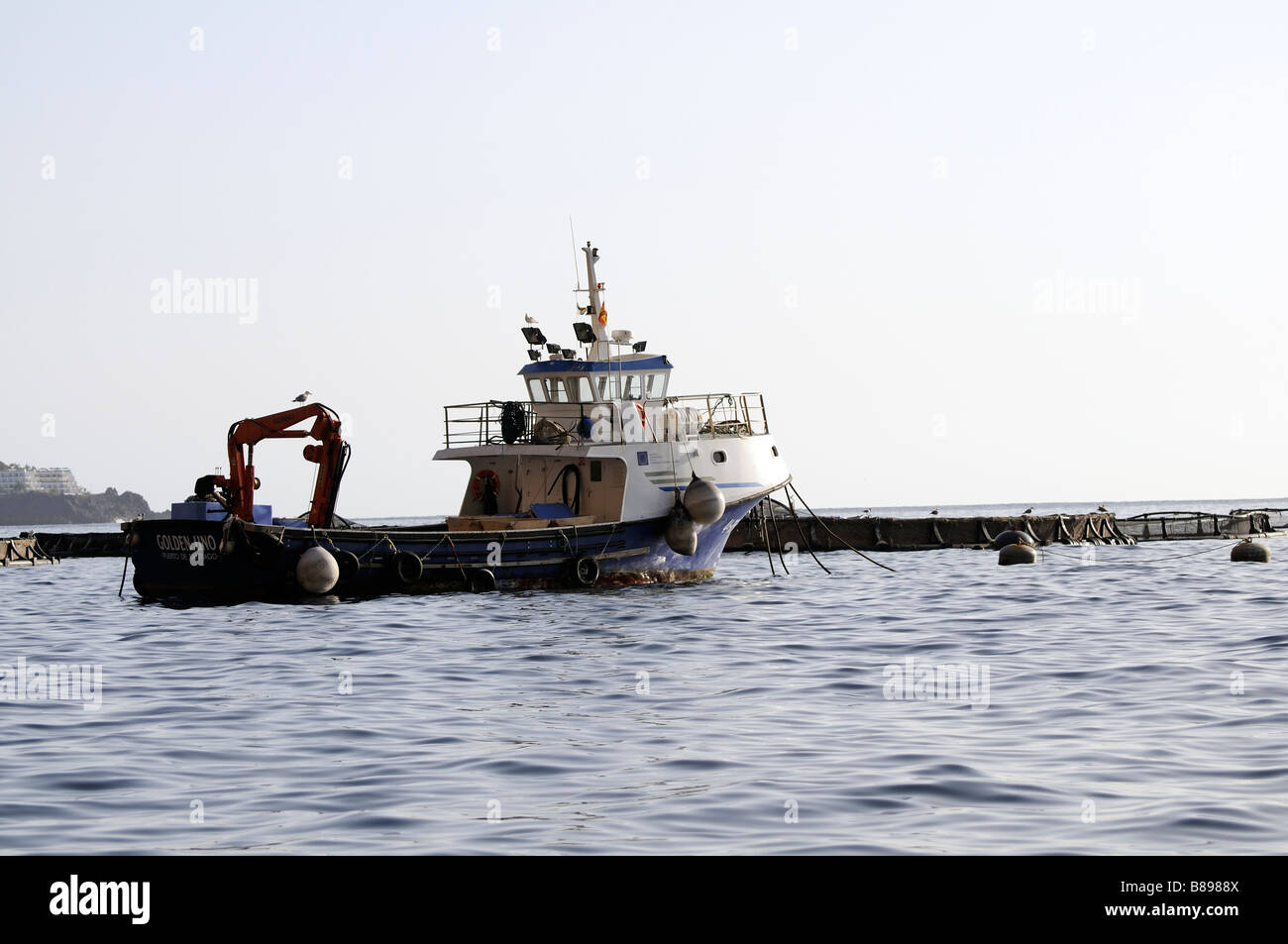 Fish farming in the Atlantic Ocean off Tenerife canary Islands Support ...