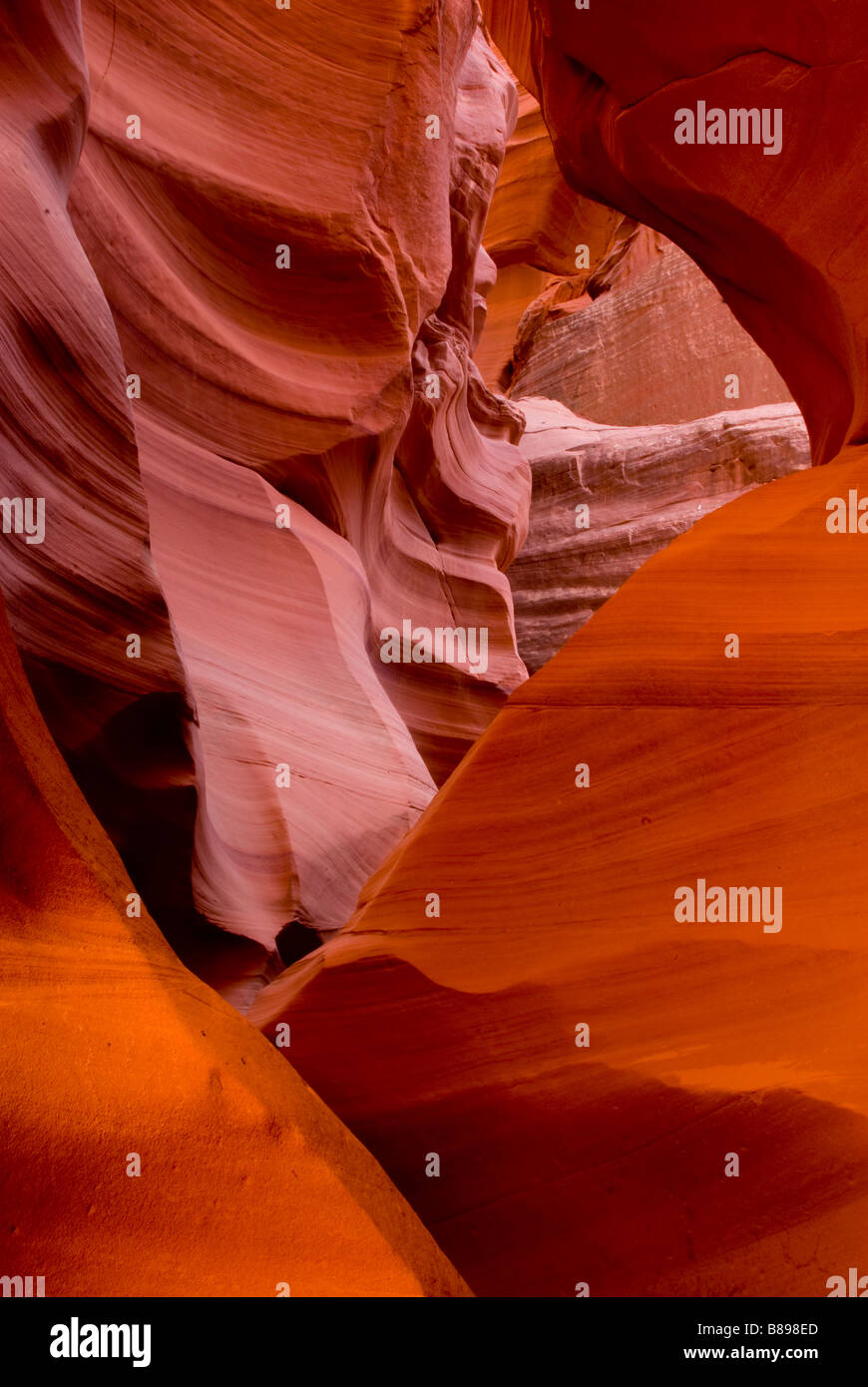 USA, Arizona, Navajo Tribal Lands. Reflected sunlight creates amber ...