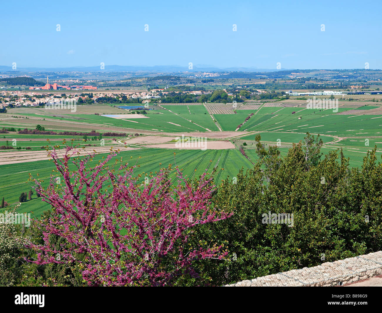 The empty pond of Montady, Languedoc Roussillon, France Stock Photo - Alamy