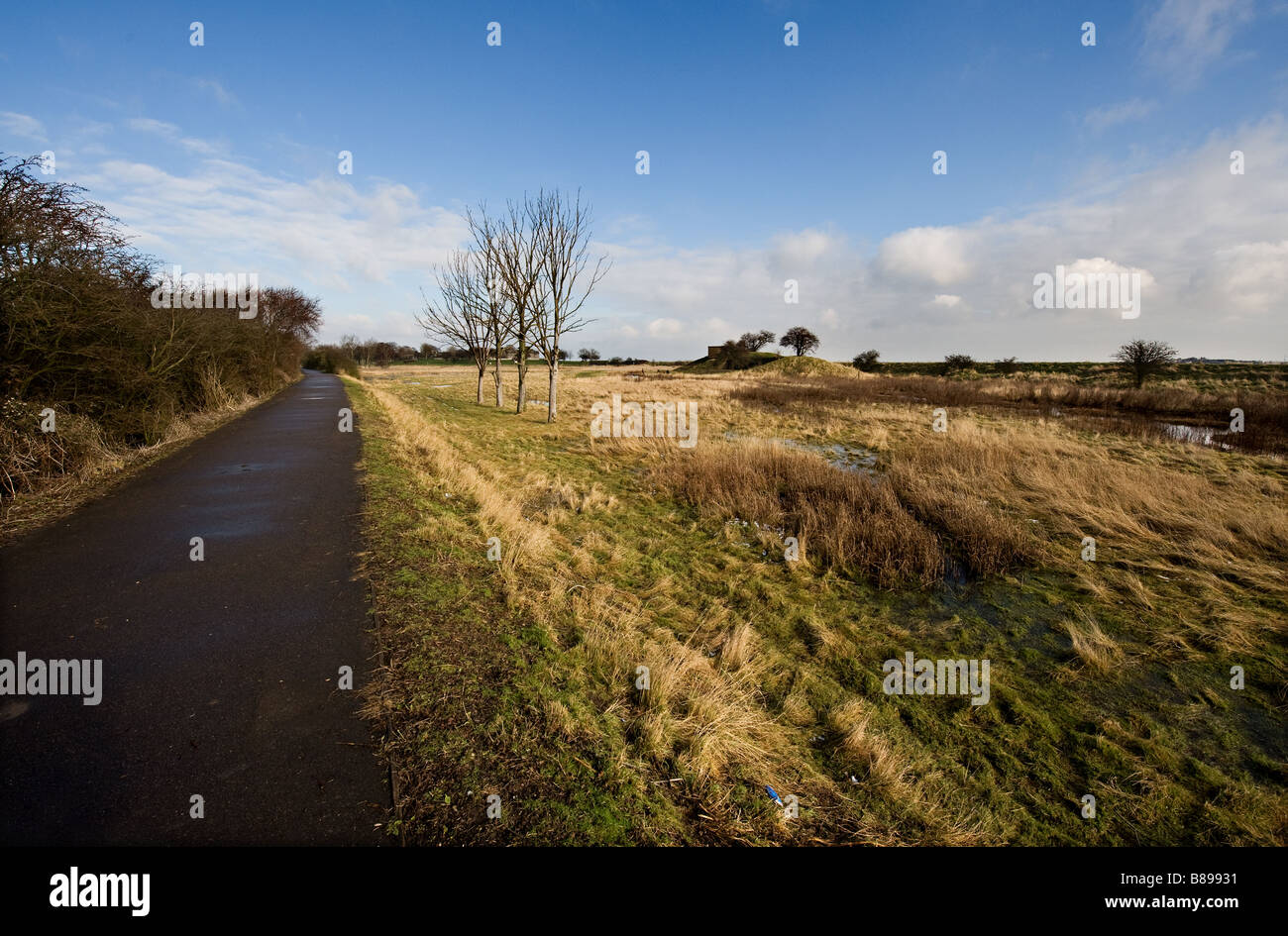 Water logged fields hi-res stock photography and images - Alamy