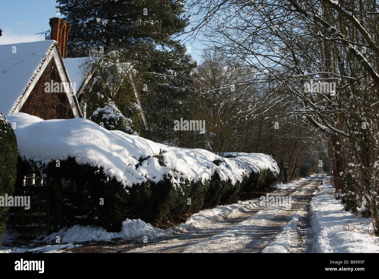 Pretty country lane in rural england hi-res stock photography and ...